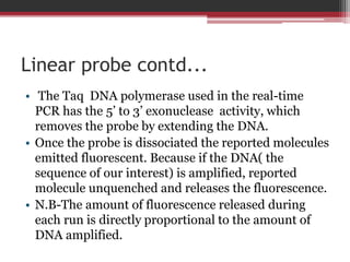 Real time pcr for gene regulation | PPTX