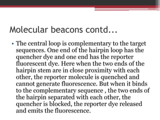 Real time pcr for gene regulation | PPTX