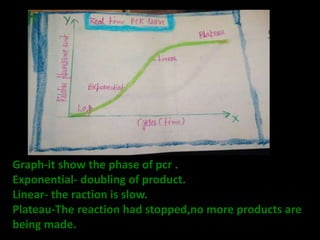 Real time pcr method | PPTX | Chemistry | Science