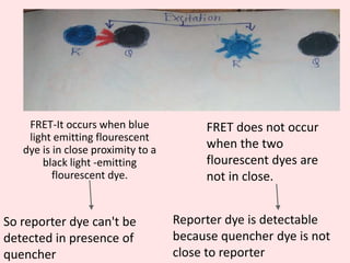 Real time pcr method | PPTX | Chemistry | Science