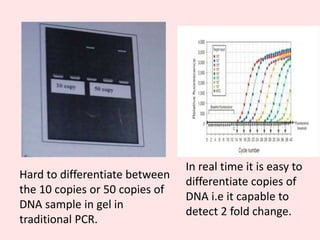 Real time pcr method | PPTX | Chemistry | Science