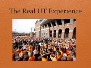 Real ut ppt | PPTX | Undergraduate Education | College Education
