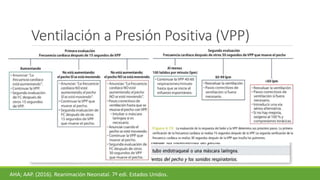 Reanimación Neonatal.pptx