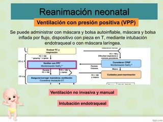Reanimación neonatal | PPTX