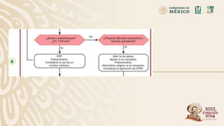 REANIMACION neonatal manual reneo actualizado.pptx