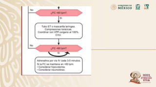 REANIMACION neonatal manual reneo actualizado.pptx