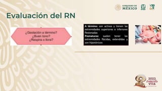REANIMACION neonatal manual reneo actualizado.pptx