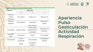 REANIMACION neonatal manual reneo actualizado.pptx