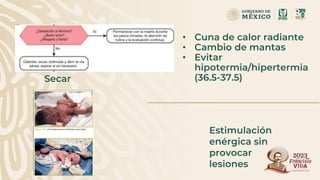 REANIMACION neonatal manual reneo actualizado.pptx