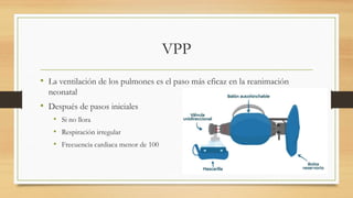 REANIMACION NEONATAL DEL RECIEN NACIDO.pptx