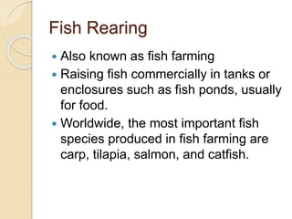 Rearing of fishes | PPT