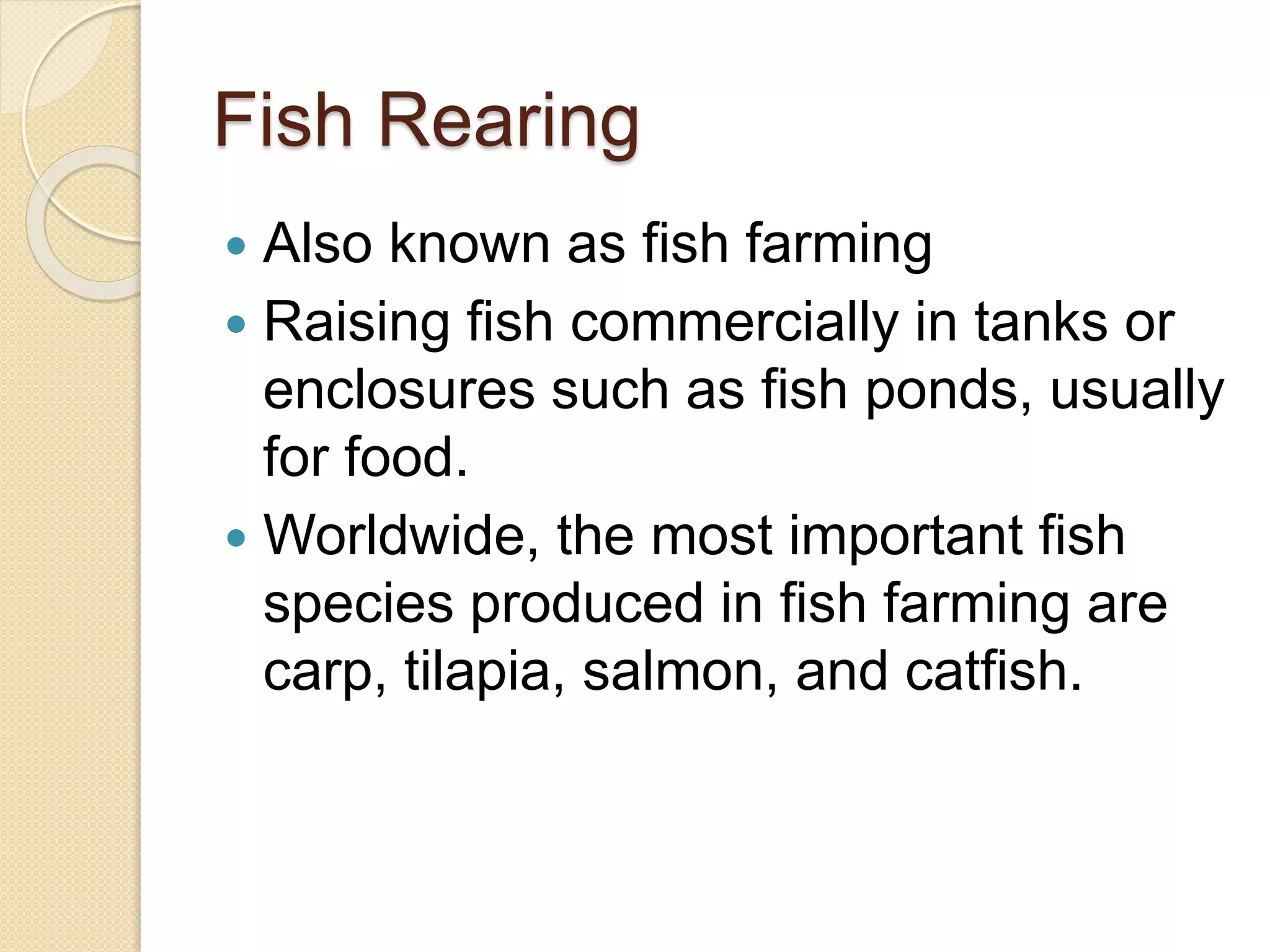 Fish Rearing | PPTX
