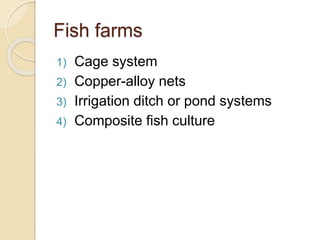 Fish Rearing | PPTX