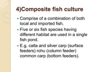 Fish Rearing | PPTX