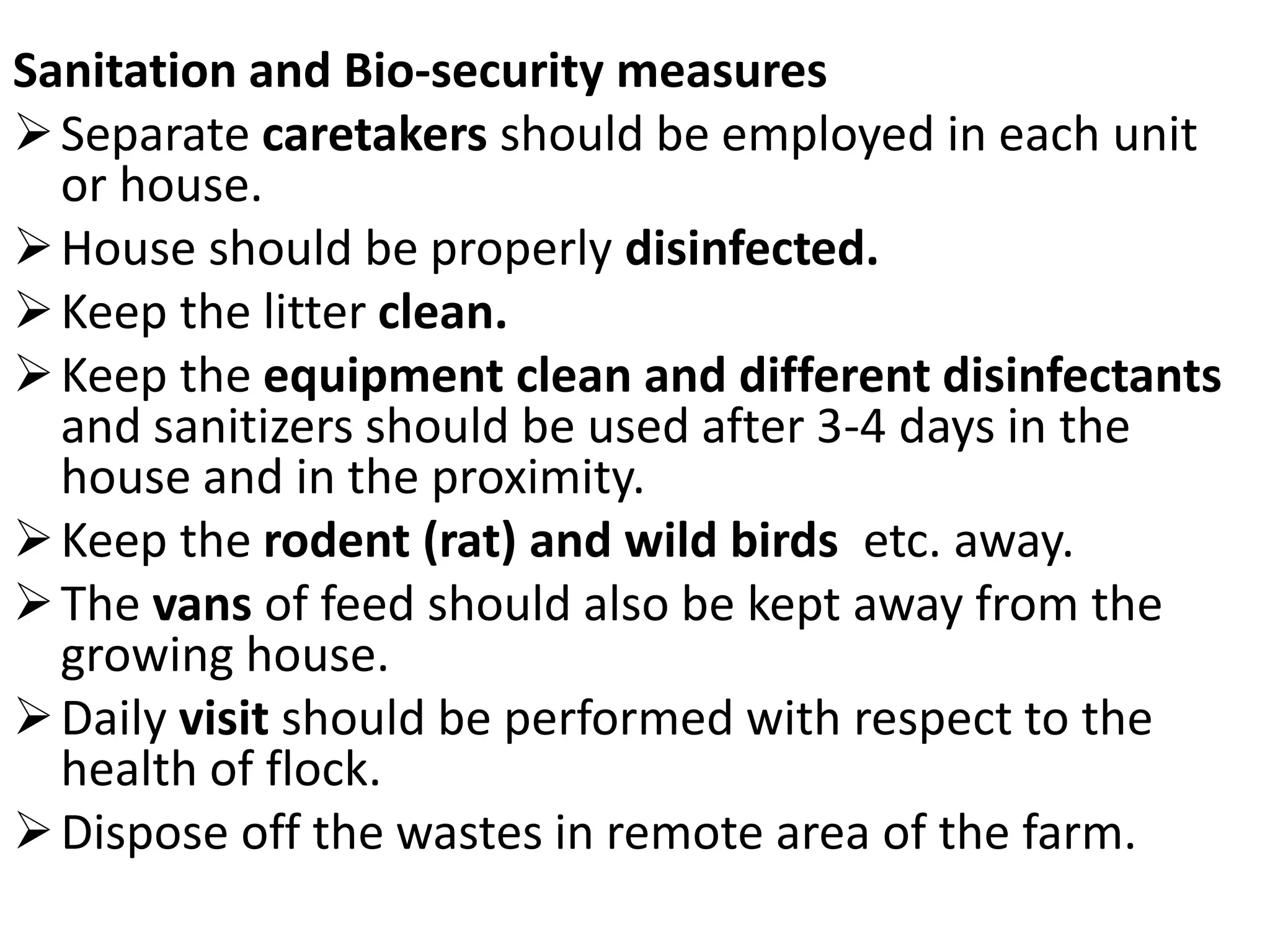 Commercial layer Production | PDF