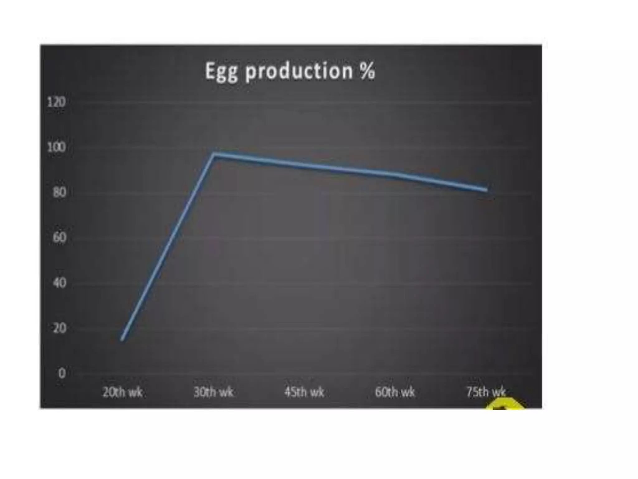 Commercial layer Production | PDF