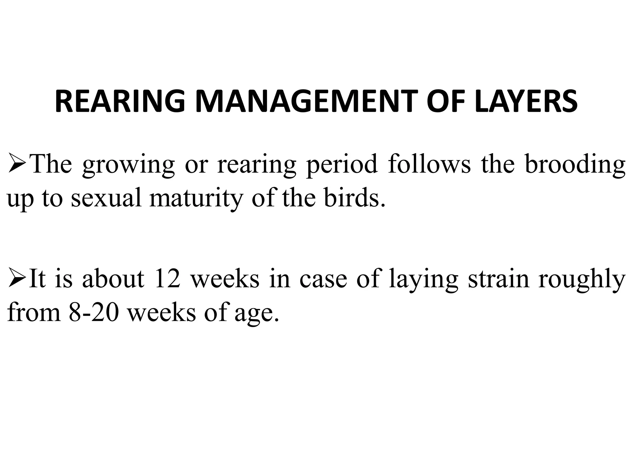 Commercial layer Production | PDF