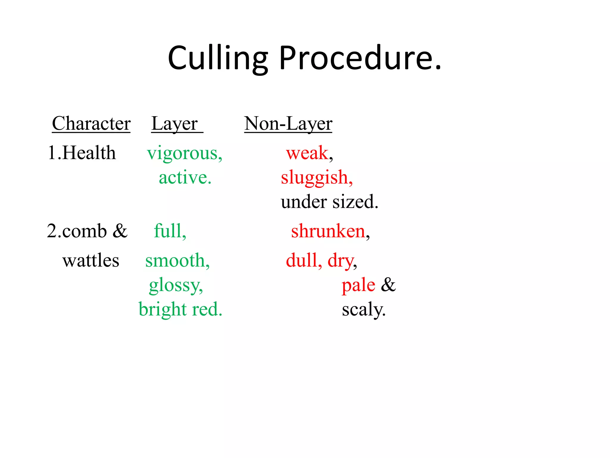 Commercial layer Production | PDF