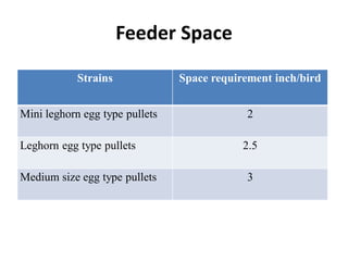 Commercial layer Production | PDF