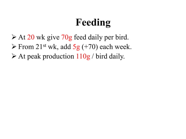 Commercial layer Production | PDF | Birds | Pets