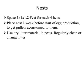 Commercial layer Production | PDF
