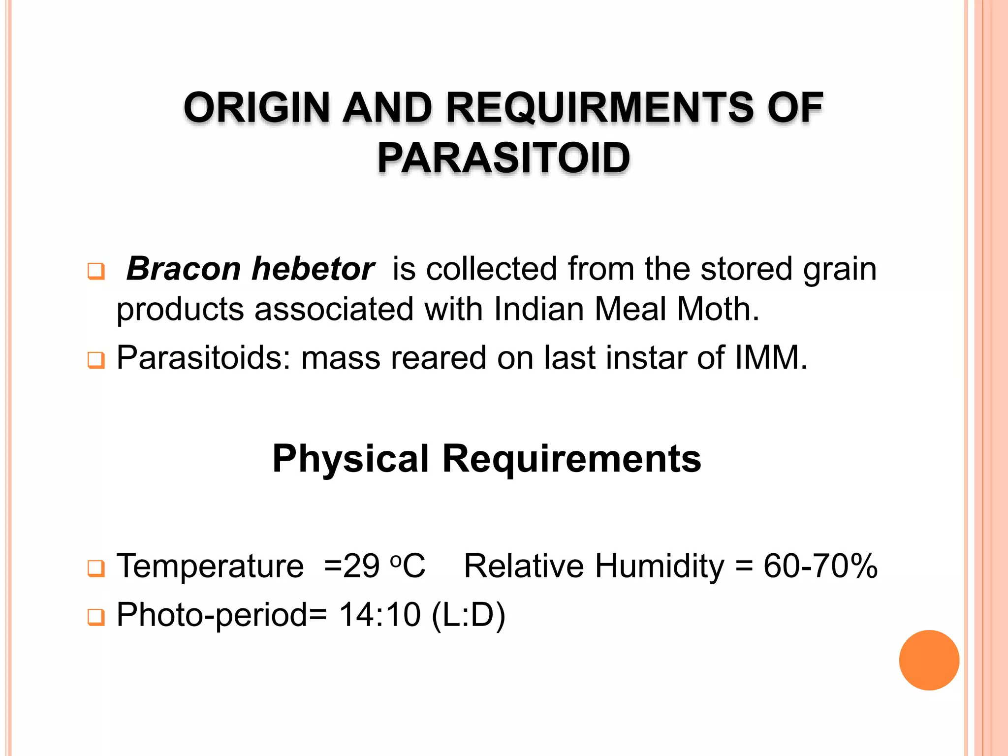 Rearing of bracon hebetor | PPTX