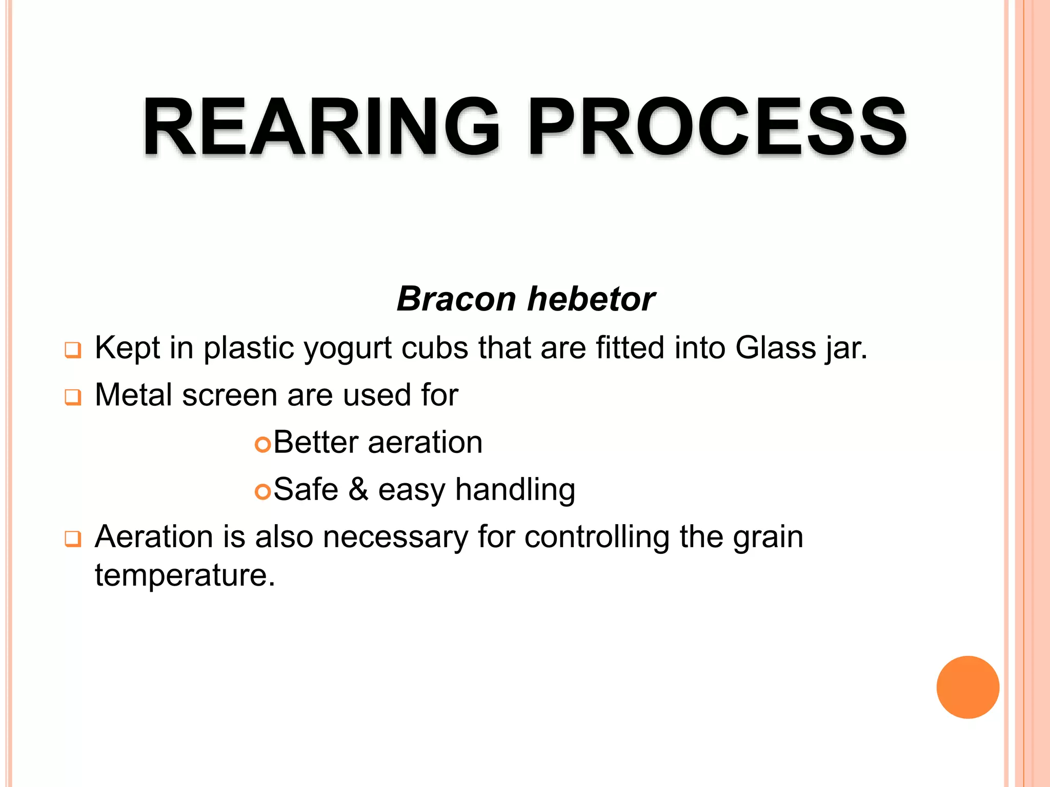 Rearing of bracon hebetor | PPTX