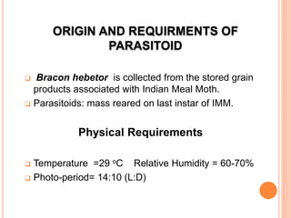 Rearing of bracon hebetor | PPTX