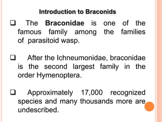 Rearing of bracon hebetor | PPTX