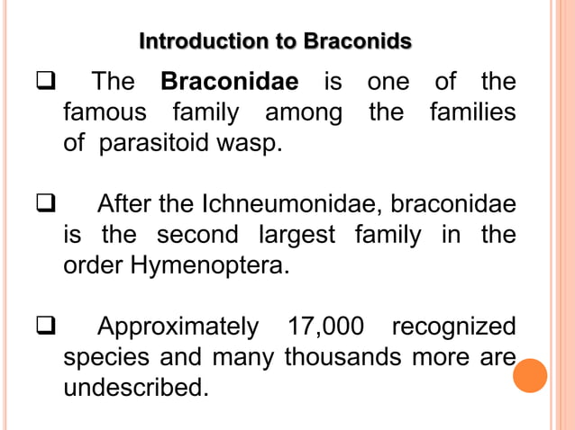 Rearing of bracon hebetor | PPTX