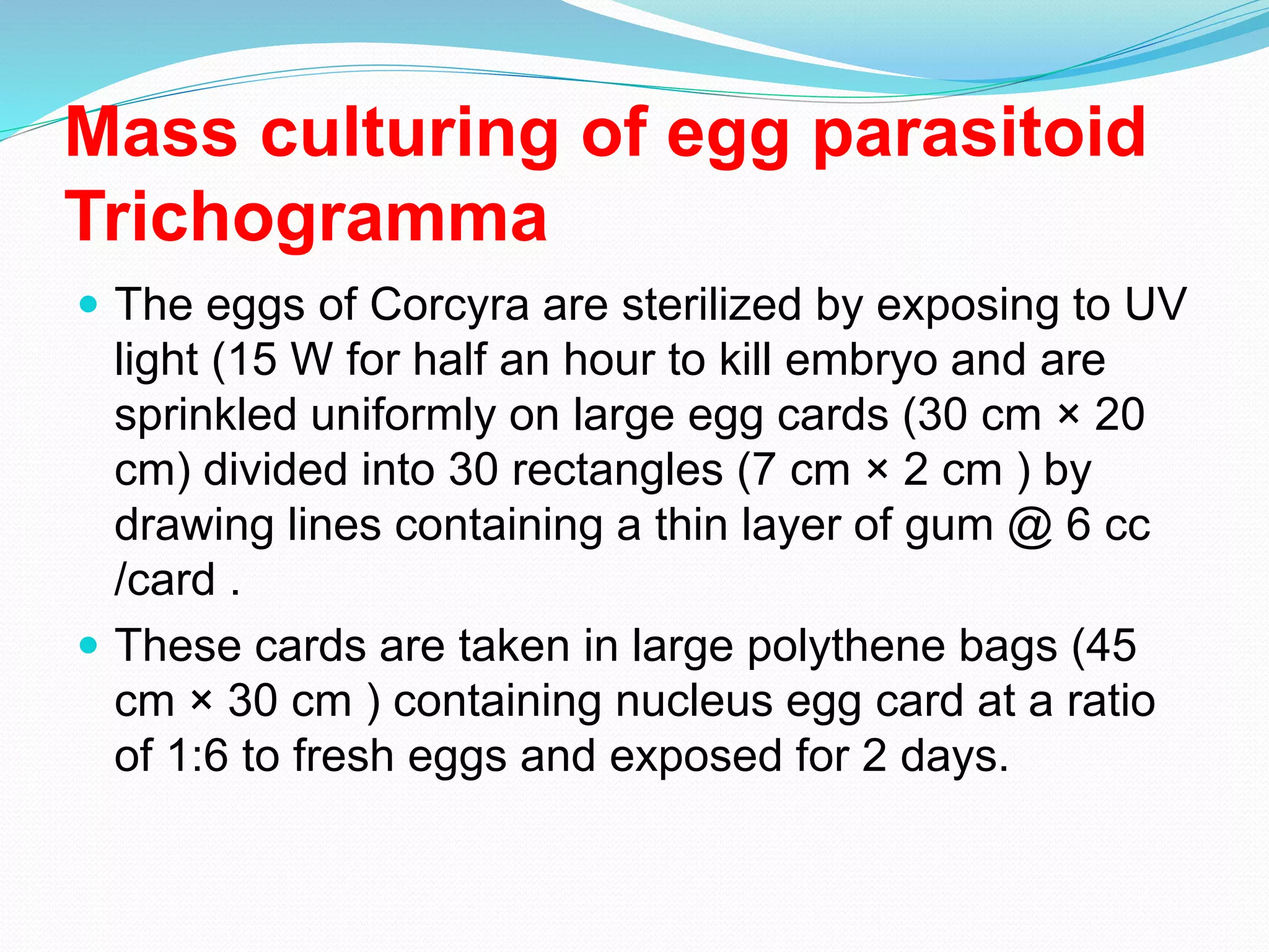 Rearing of corcyra | PPTX