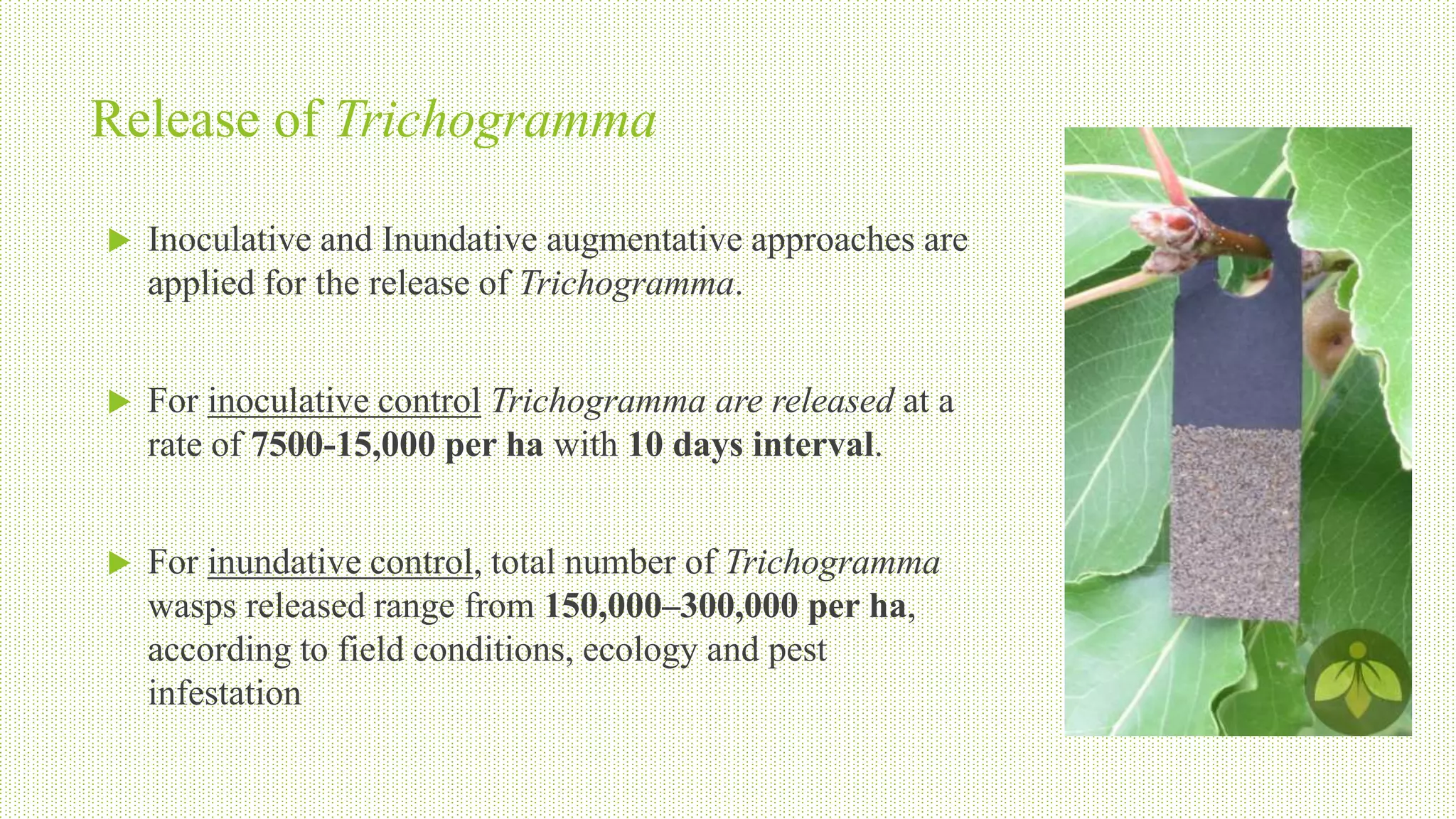 Rearing of trichogramma spp.s | PPTX