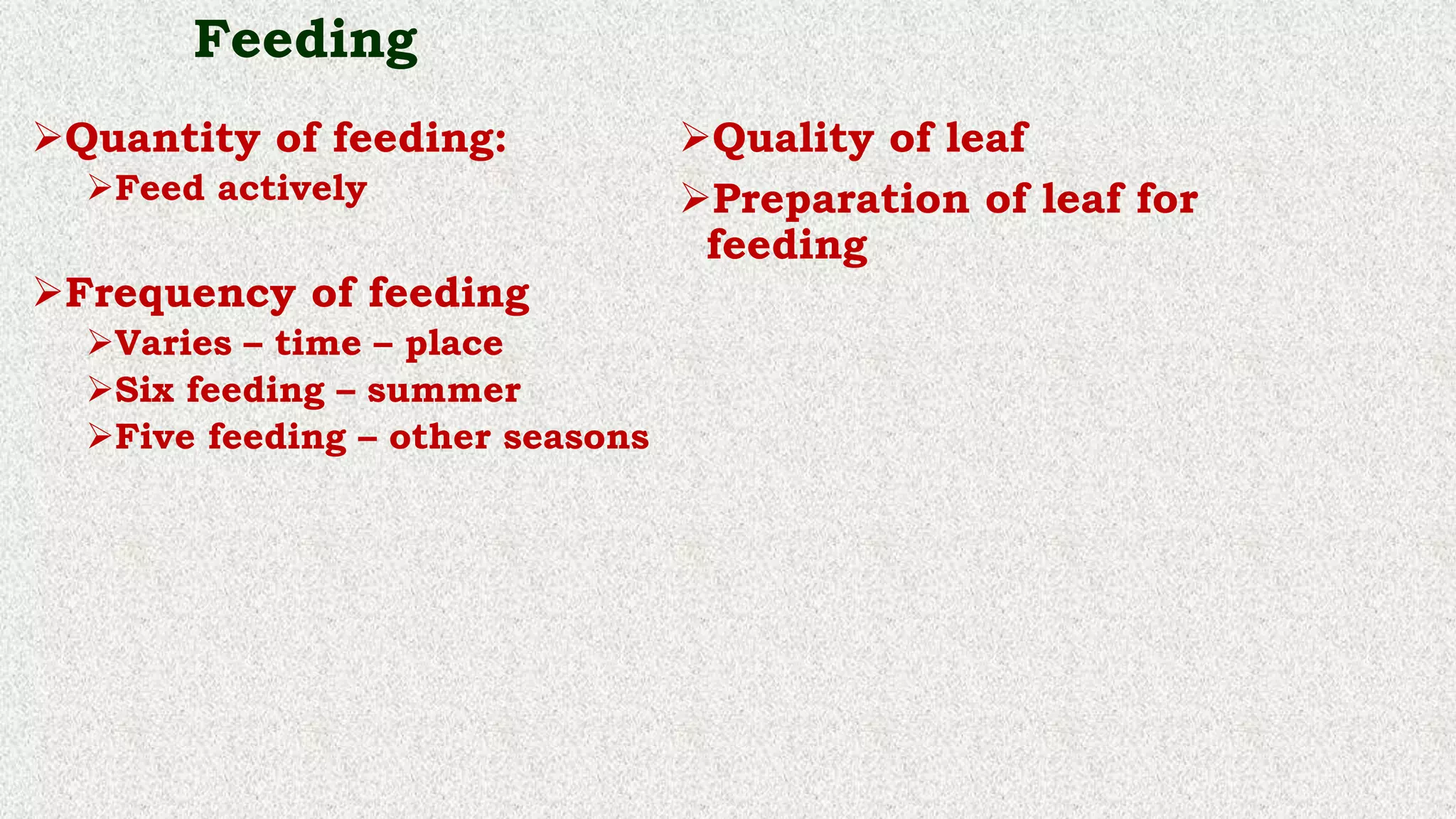 Silkworm Rearing Operations.pptx