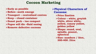 Silkworm Rearing Operations.pptx