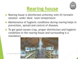 Rearing techniques for successful cocoon crop.pptx