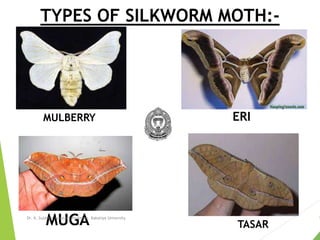 Rearing techniques for successful cocoon crop.pptx