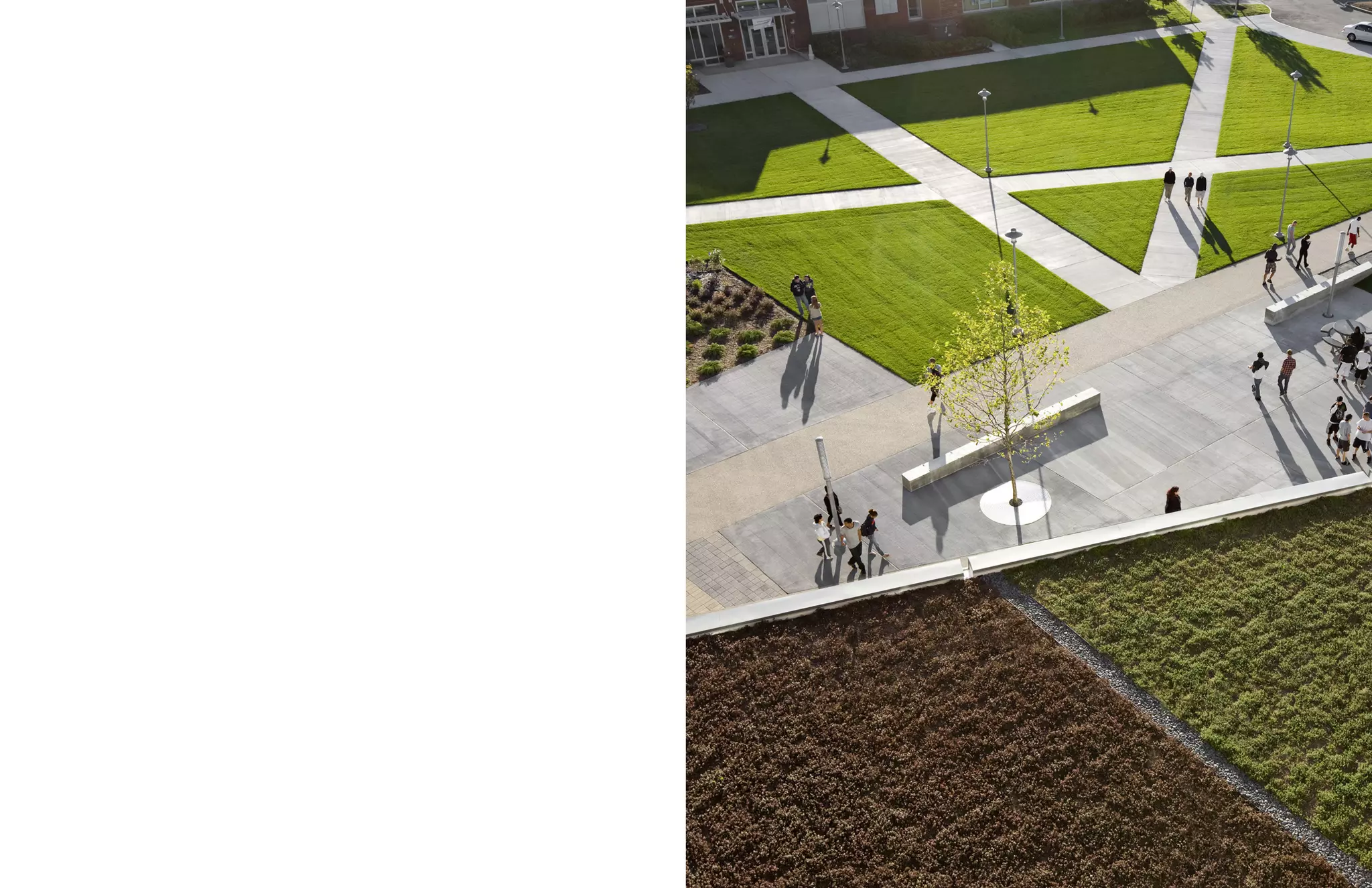 DIMELLA SHAFFER Imaginary RFP Response | PDF