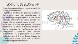 Áreas de Broca y Wernicke.pdf