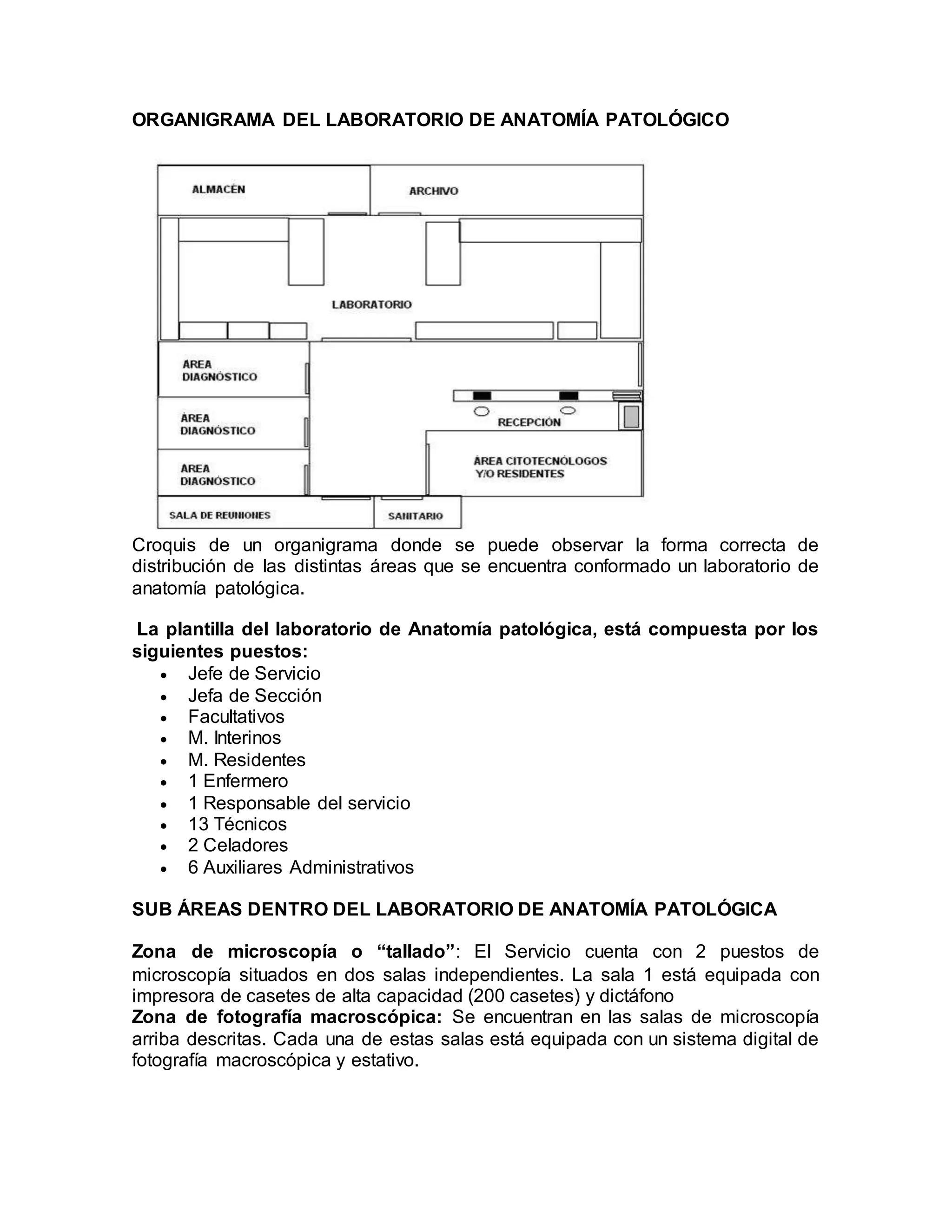áReas de un laboratorio de anatomía patológica | DOCX