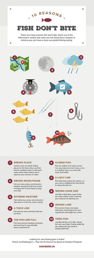 10 Reasons Fish Don't Bite | PDF