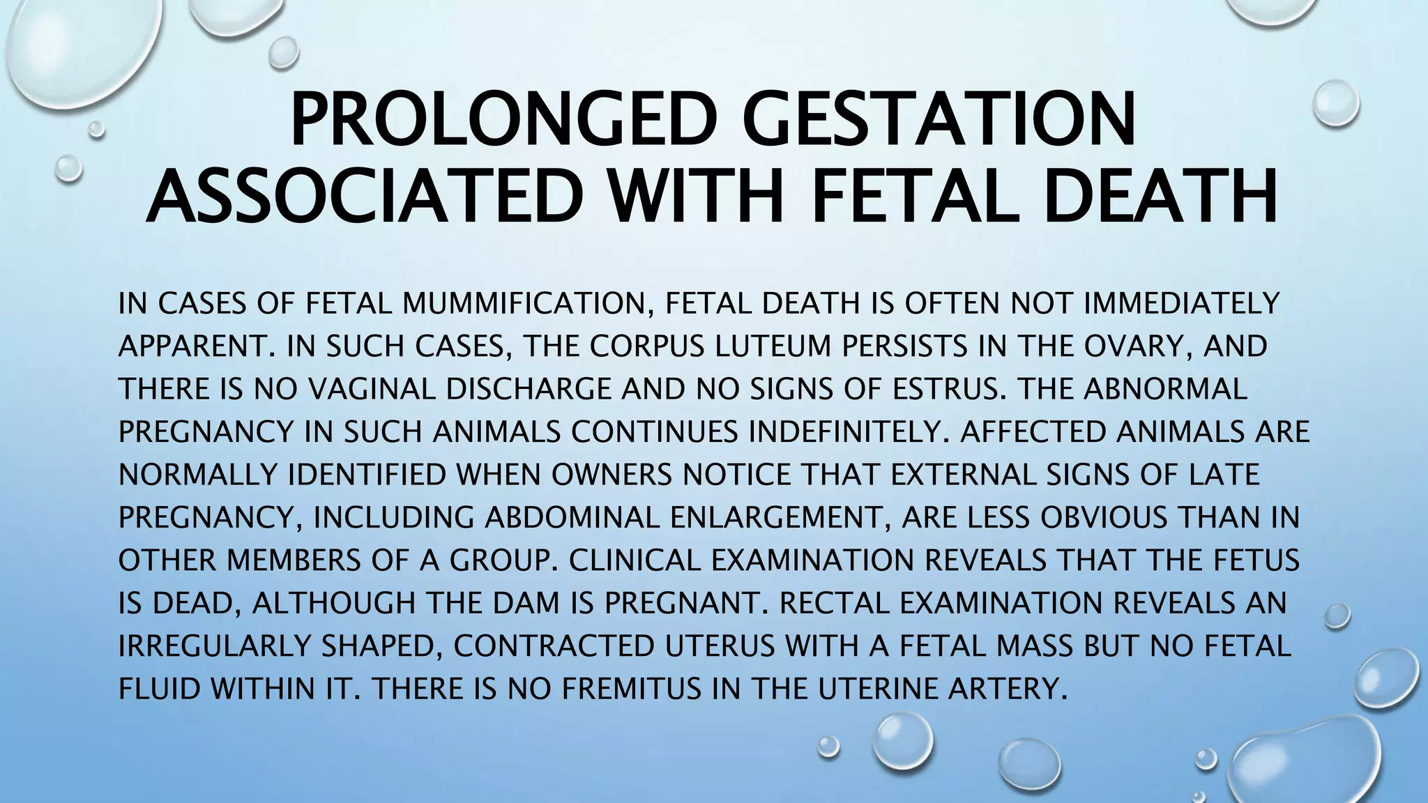 Reasons and treatment of prolong calving in cattle | PPTX