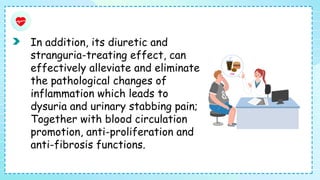 Reasons Behind Female Dysuria | PPT