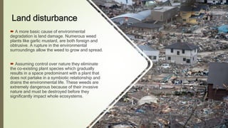 Reasons for environmental degradation | PPT
