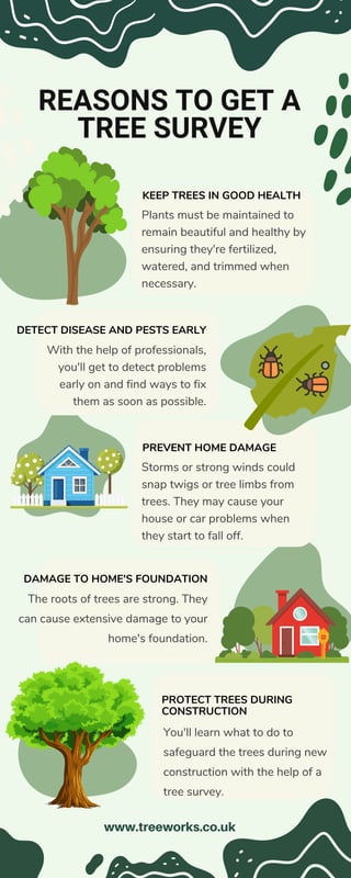 Reasons to Get a Tree Survey | PDF
