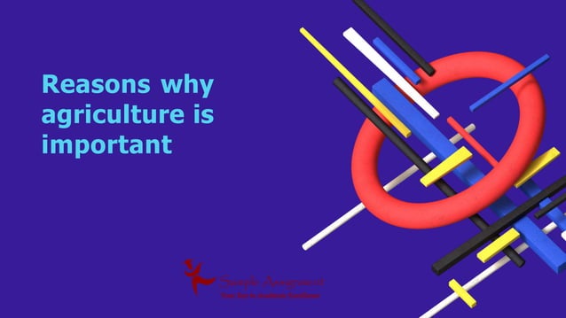 Reasons why agriculture is important.pptx