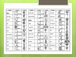 Áreas Verdes y Espacios Públicos Electiva.pptx