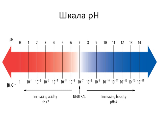 Reaviz principle equilibriums in chemistry and life science | PPT