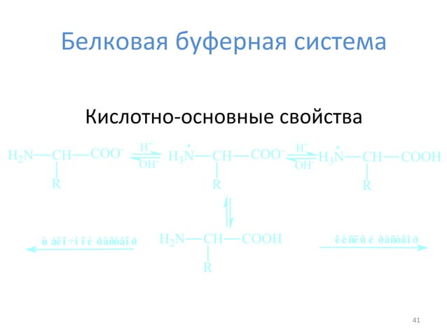 Reaviz principle equilibriums in chemistry and life science | PPT