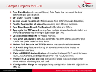 Rebaca DPI and PCRF Expertie Overview | PDF