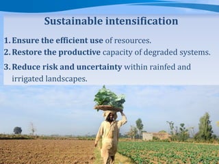 Rebalancing our food production systems: Sustainable Intensification ...